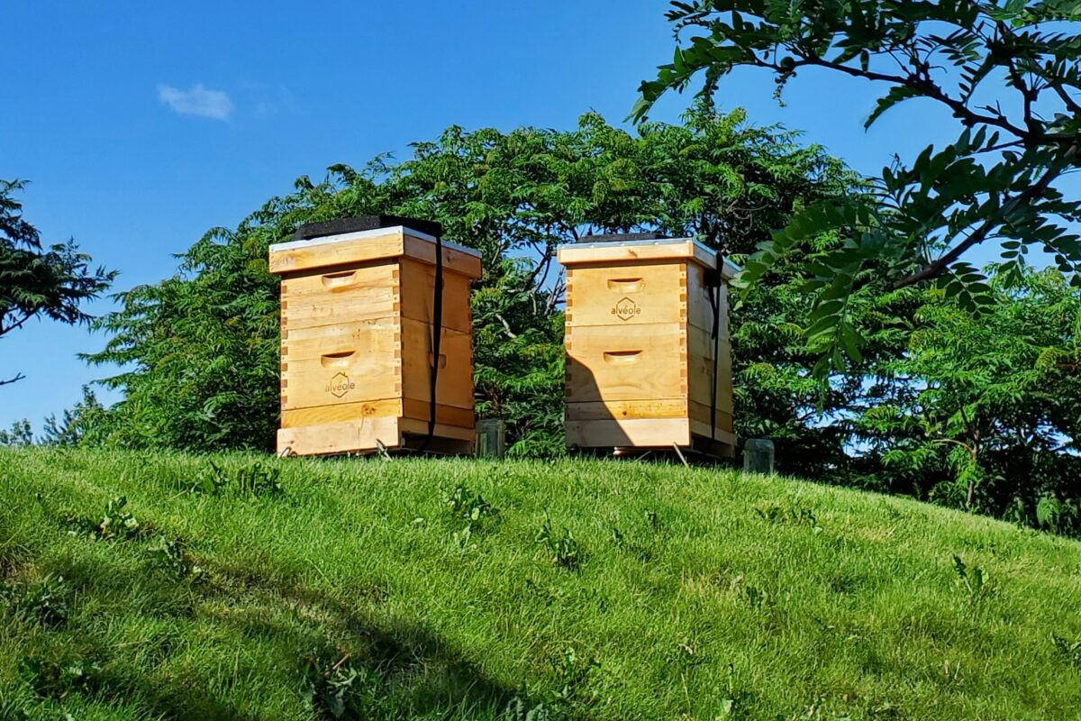 Nouvelles | Technopôle Angus